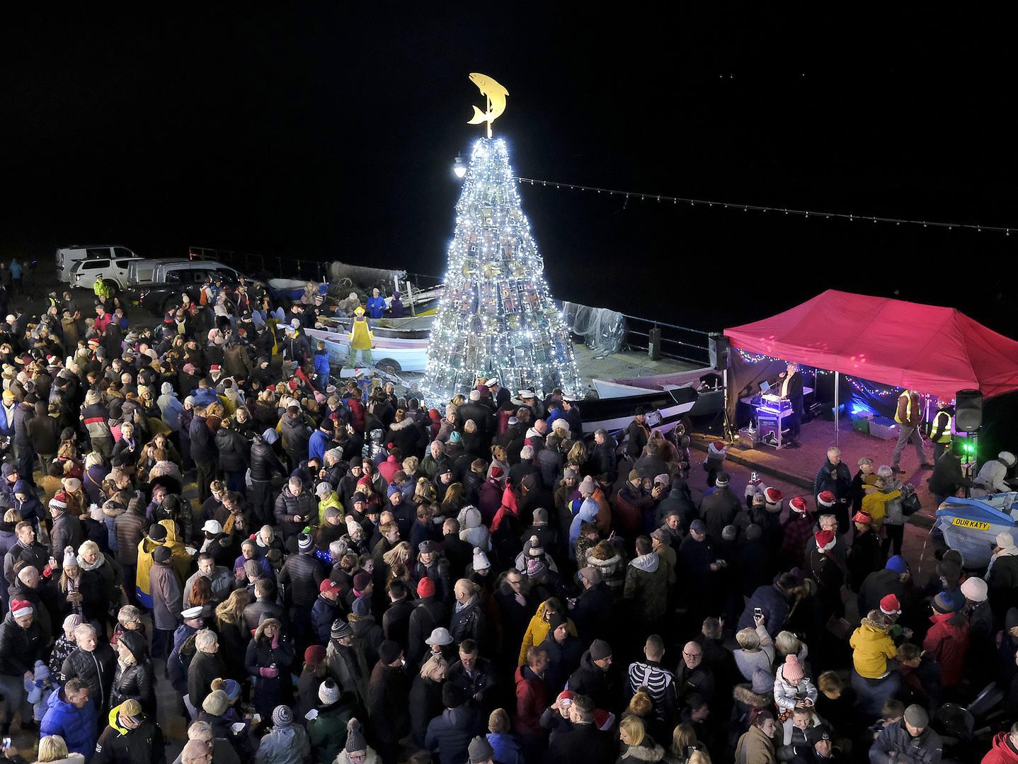 IN PICTURES: Filey's stunning fishtive tree is lit up at lights switch ...