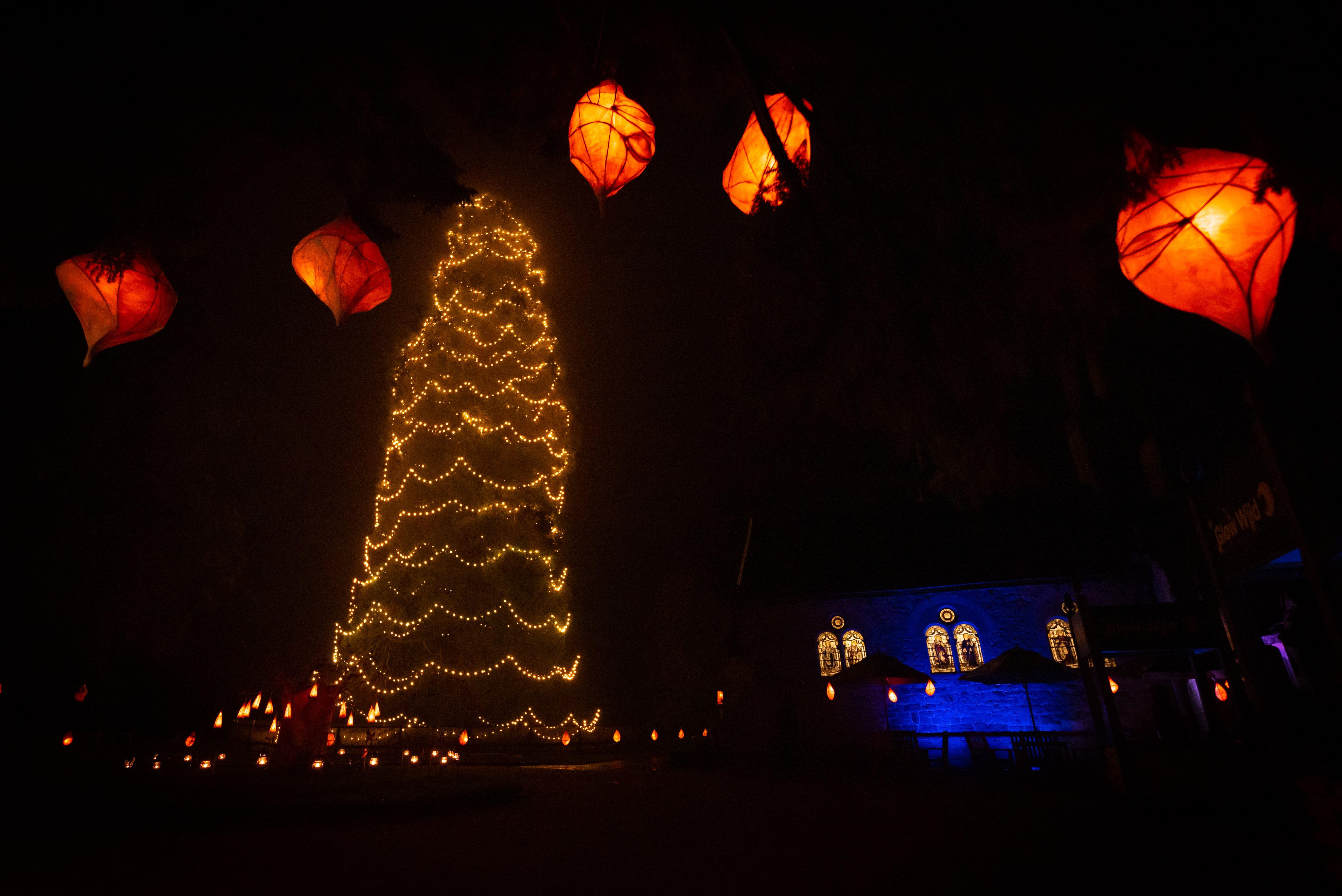 Glow Wild 2019: Wakehurst winter lantern trail in pictures | SussexWorld